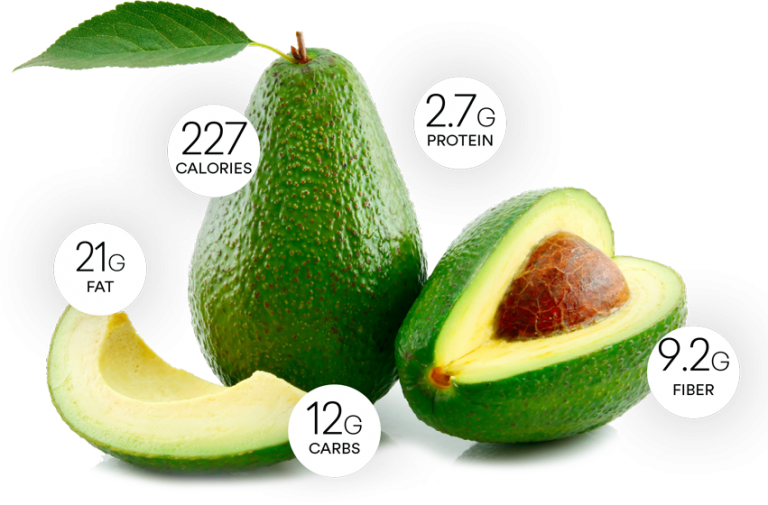 Tropical Avocados - J&C Tropicals