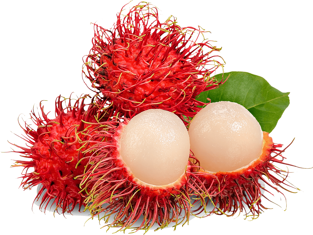 The Nutritional And Medicinal Value Of Rambutan