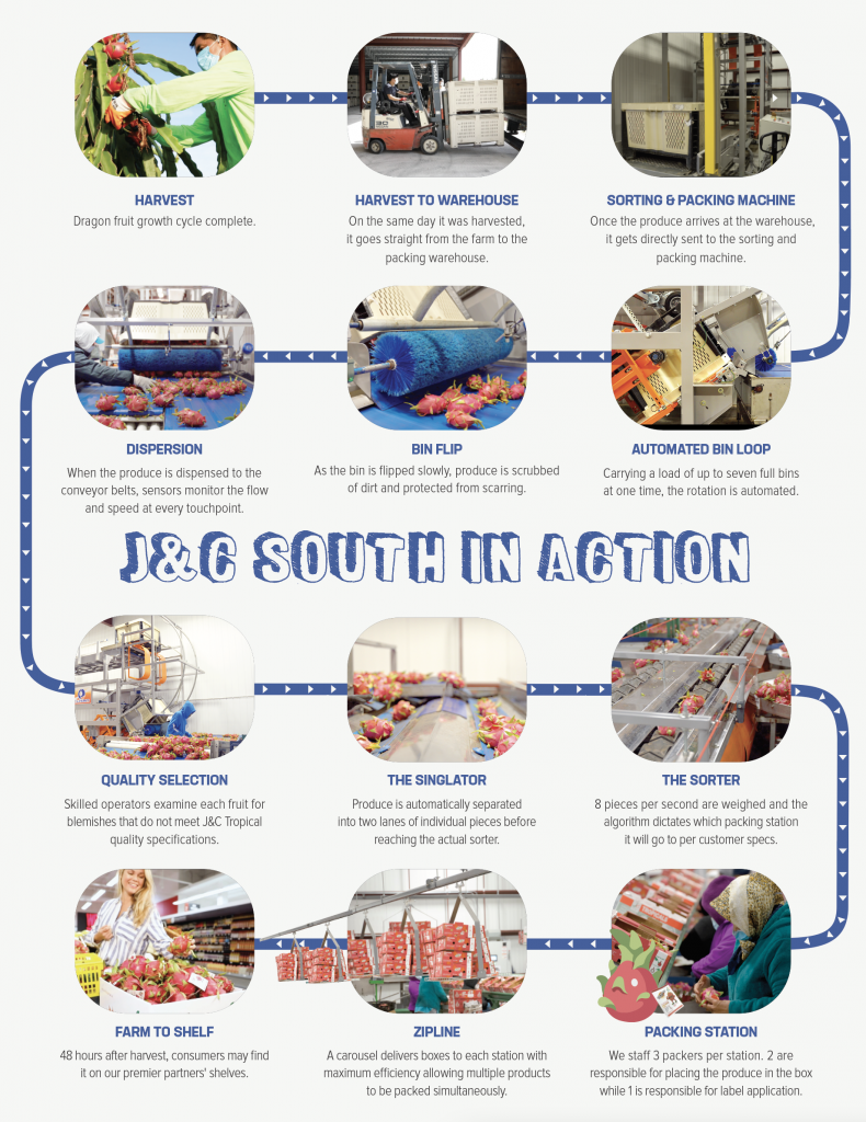 Innovation as Fresh as Our Produce - J&C Tropicals